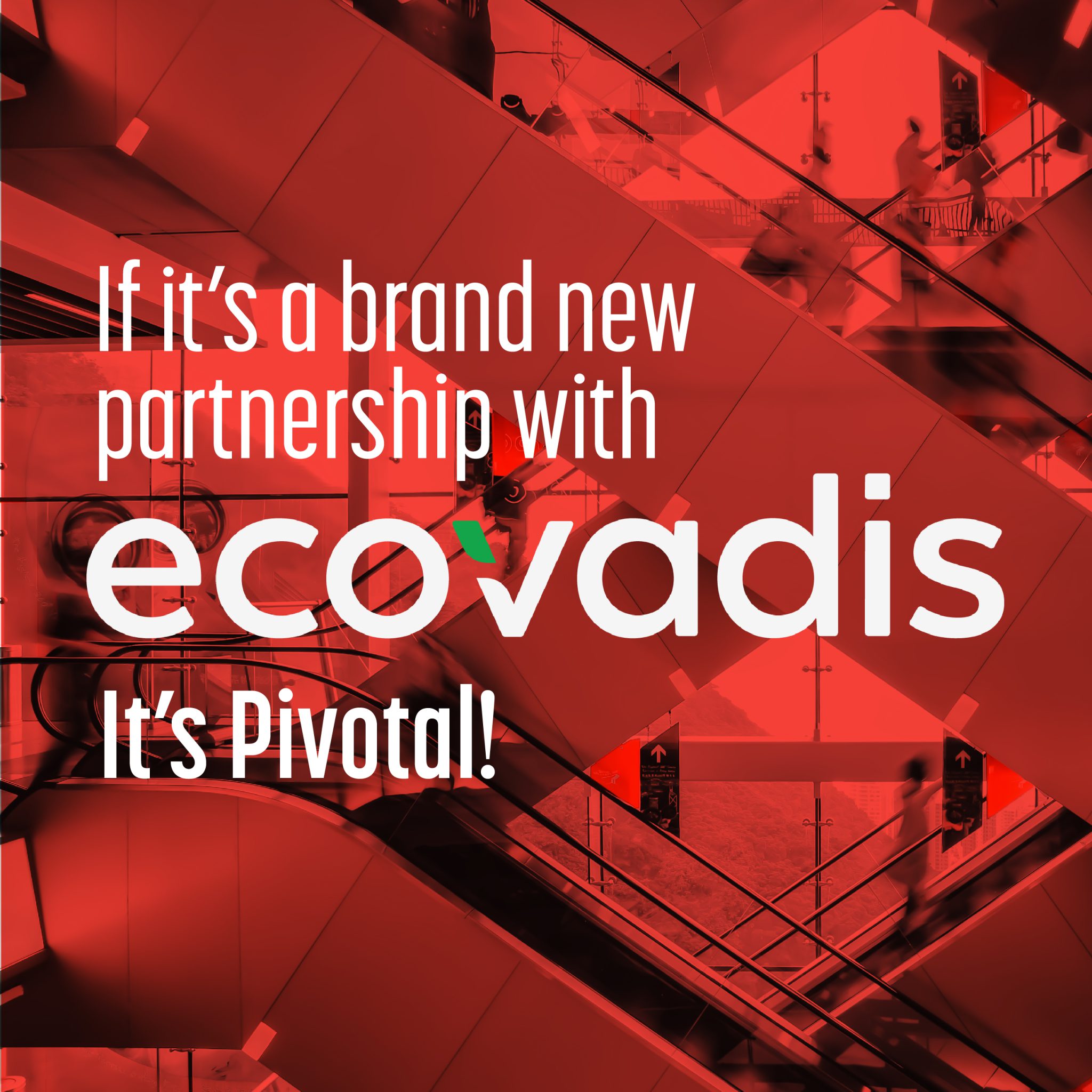 New news! Pivotal become an official Evovadis partner